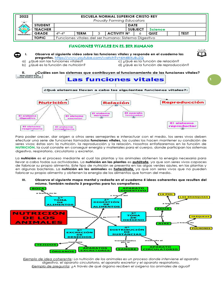 A. 6 Science. Funciones Vitales de Los Seres Vivos | PDF | Relaciones ...