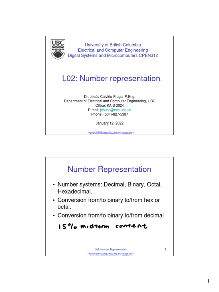 L2 Number Representation | PDF