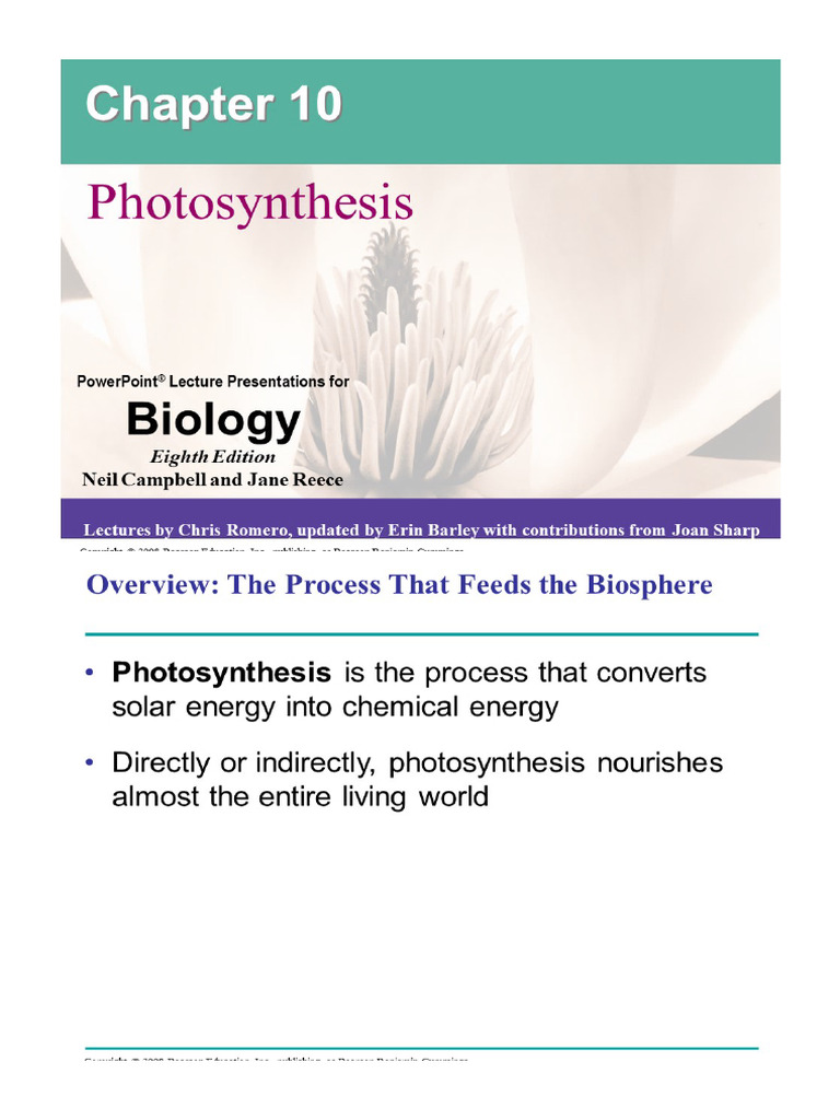 Biology 10 | PDF