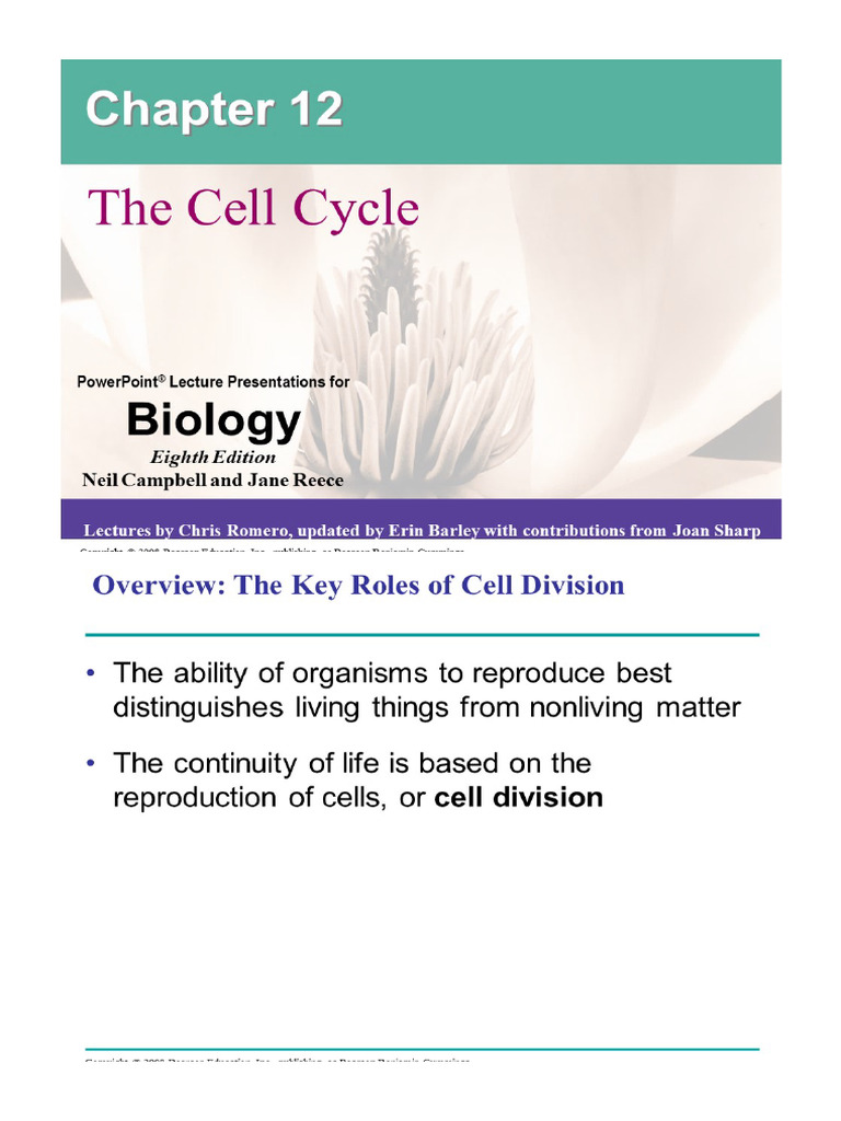 Biology 12 | PDF