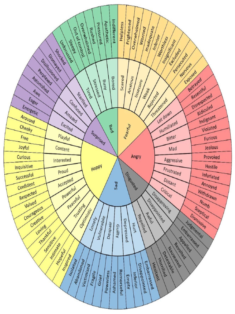 Emotive Language Examples - Emotion Wheel Resource | PDF
