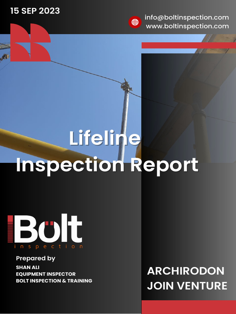 Lifeline Inspection Report | PDF