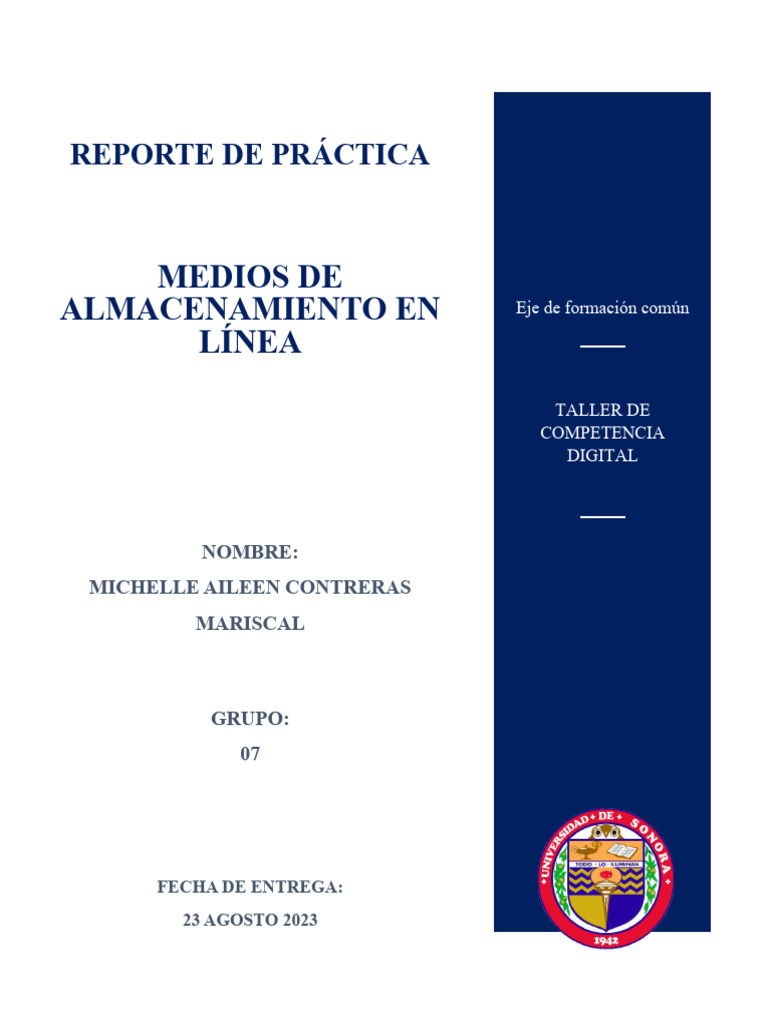 Reporte de Práctica Medios de Almacenamiento en Línea - michELLE | PDF