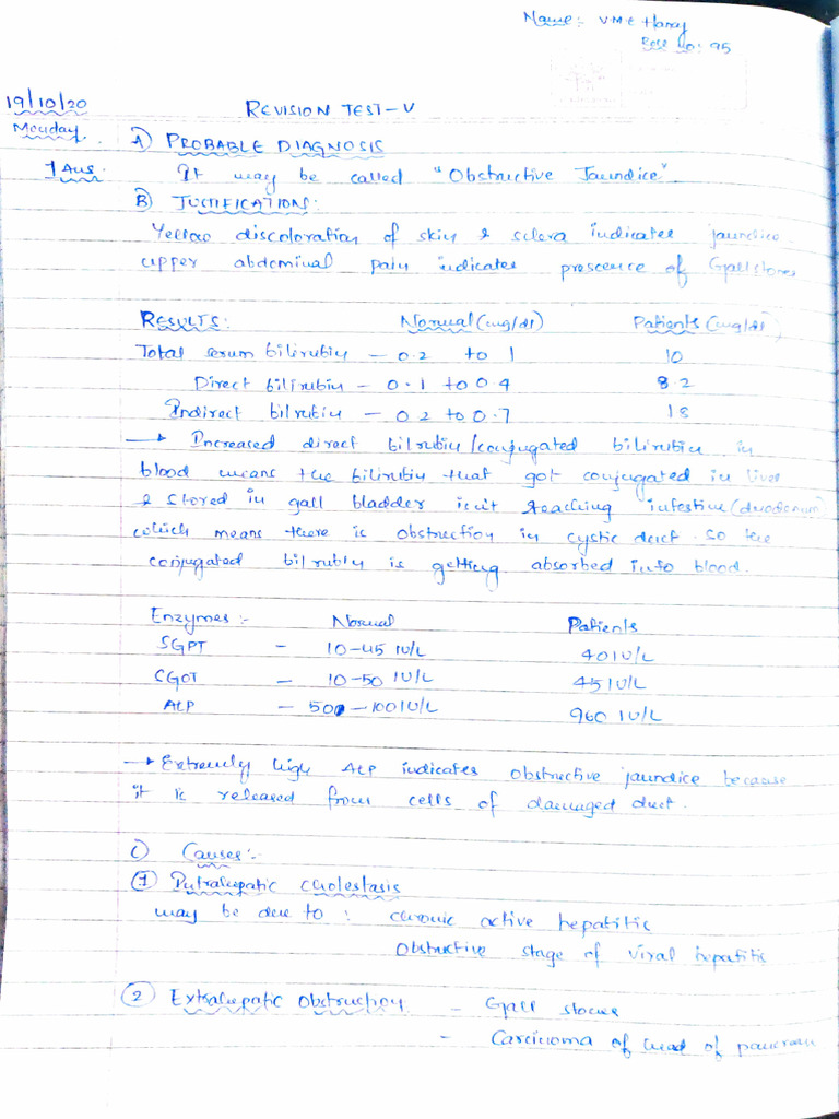 Bilirubin Cycle | PDF