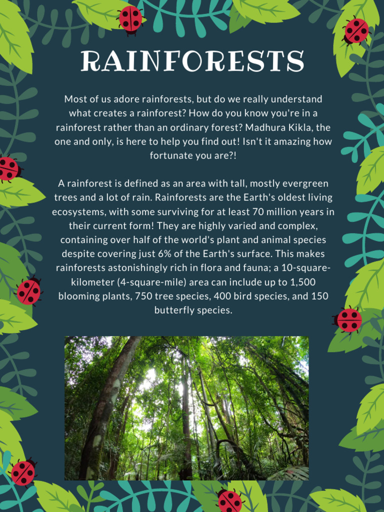 Rainforest Habitat | PDF