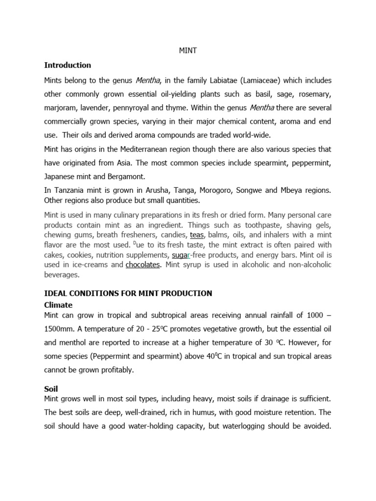 Production of Mint | PDF