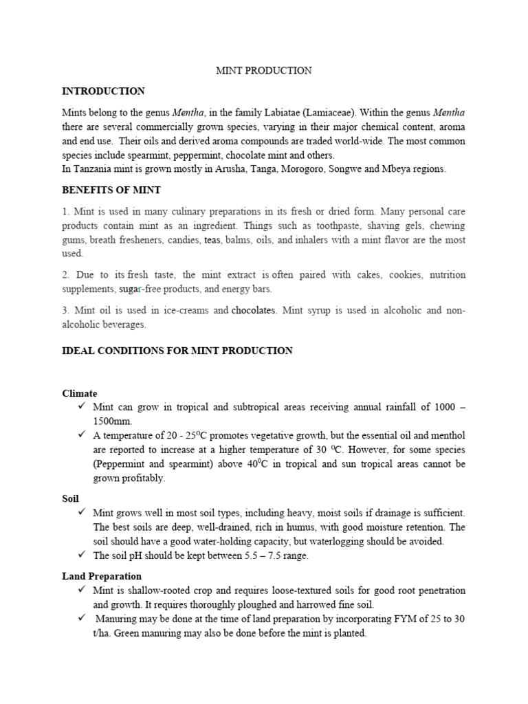 Mint-Production-Final Draft | PDF