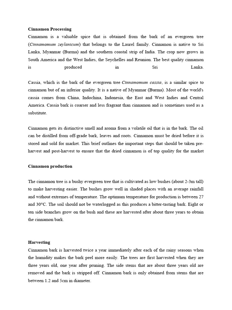 Cinnamon Processing | PDF