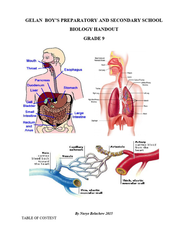 Biology Unit 1 | PDF