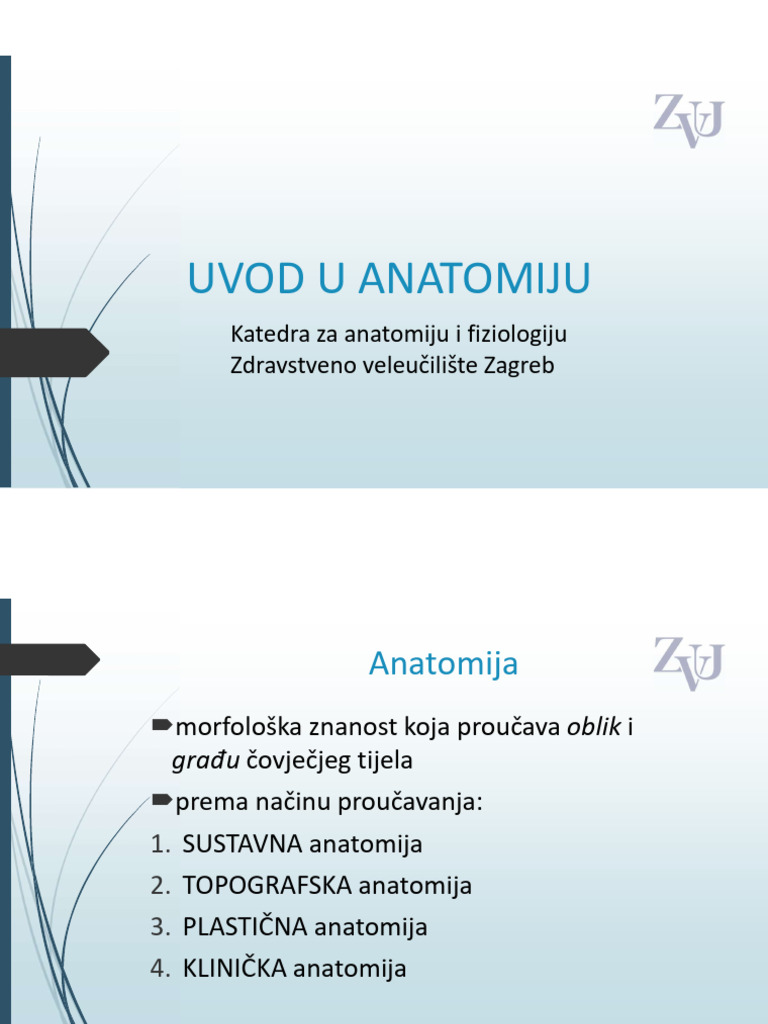 Uvod U Anatomiju | PDF