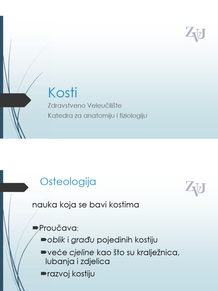 Koštani Sustav | PDF