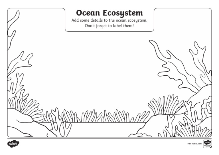 T Ad 1685523958 Draw The Ocean Ecosystem Worksheet - Ver - 1 | PDF ...