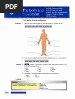ABI Worksheet: Patient Name: Patient ID: Date | PDF | Medical ...
