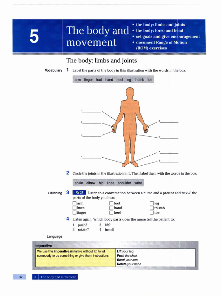 The Body & Movement | PDF