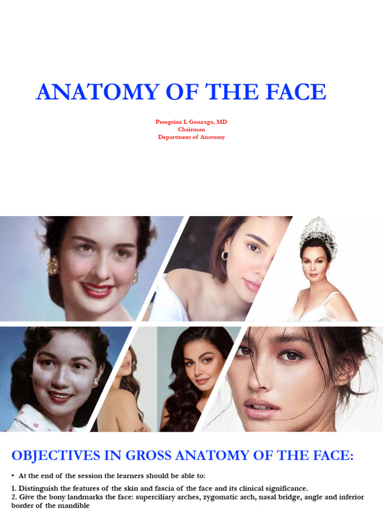Face | PDF
