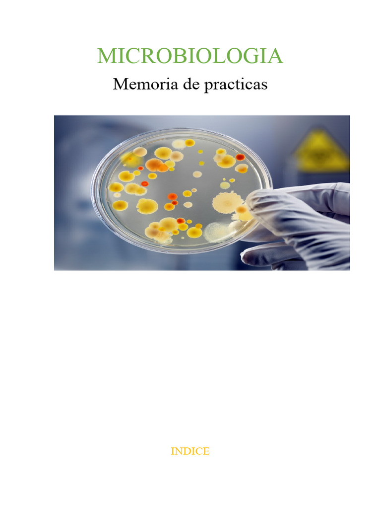 Microbiologia Memoria de Practicas | PDF