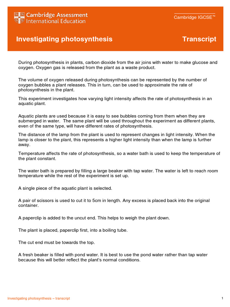 0610 Investigatingphotosynthesis Transcript v2 | PDF