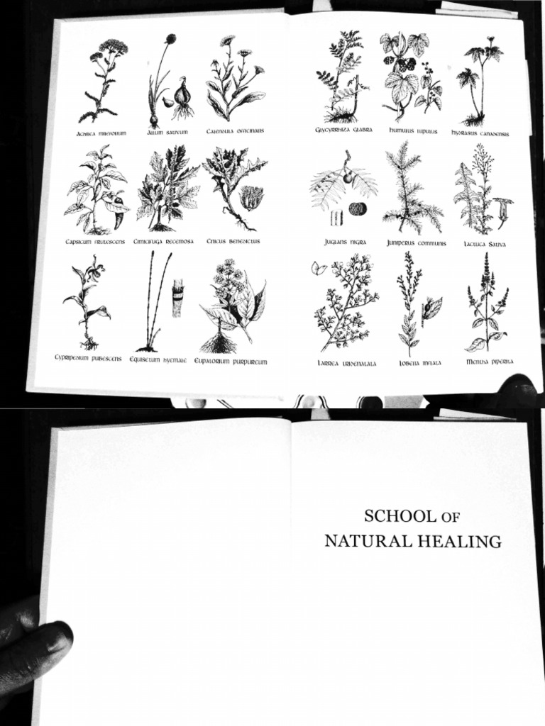 School of Natural Healing Compress | PDF