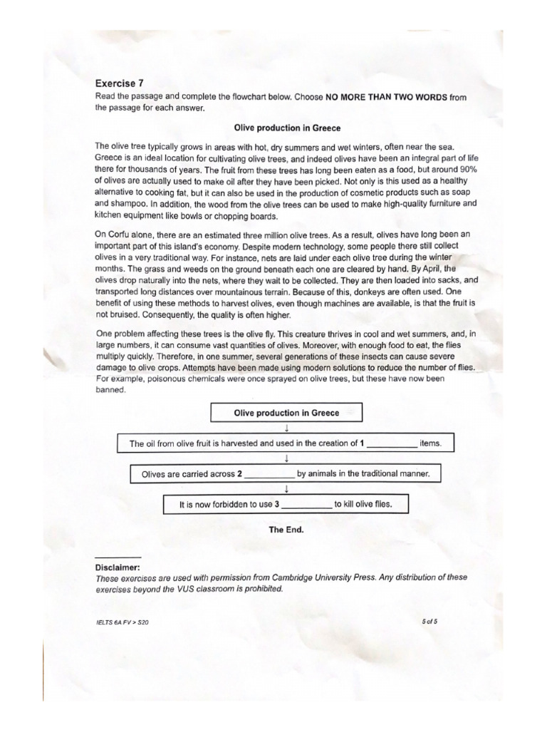 Reading Practice 1 | PDF