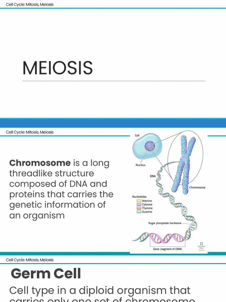 General Biology 1 Notes Meiosis | PDF