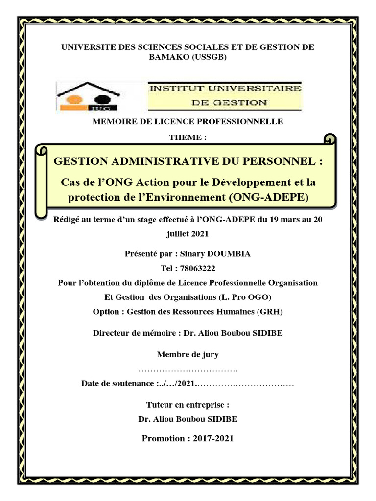 Rapport de Stage SINARY CRG | PDF