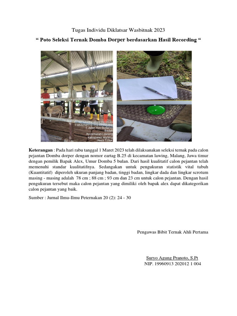 Dorper Tugas Individu Diklatsar Wasbitnak 2023 | PDF