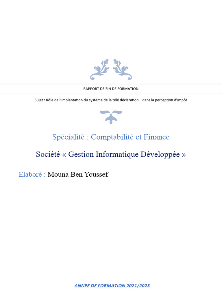 Rapport de Fin de Formation | PDF