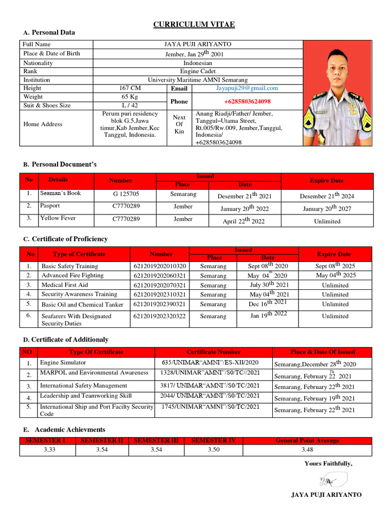 CV Cadet Engine | PDF