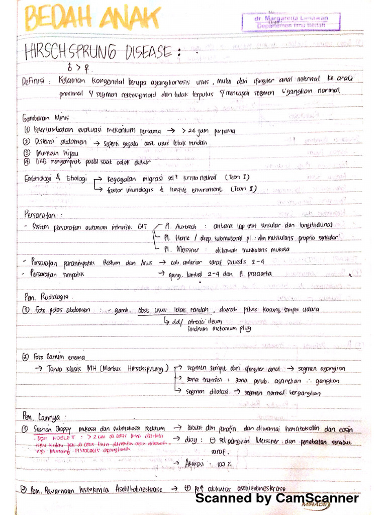 Catatan Bedah Anak Mba Marga | PDF