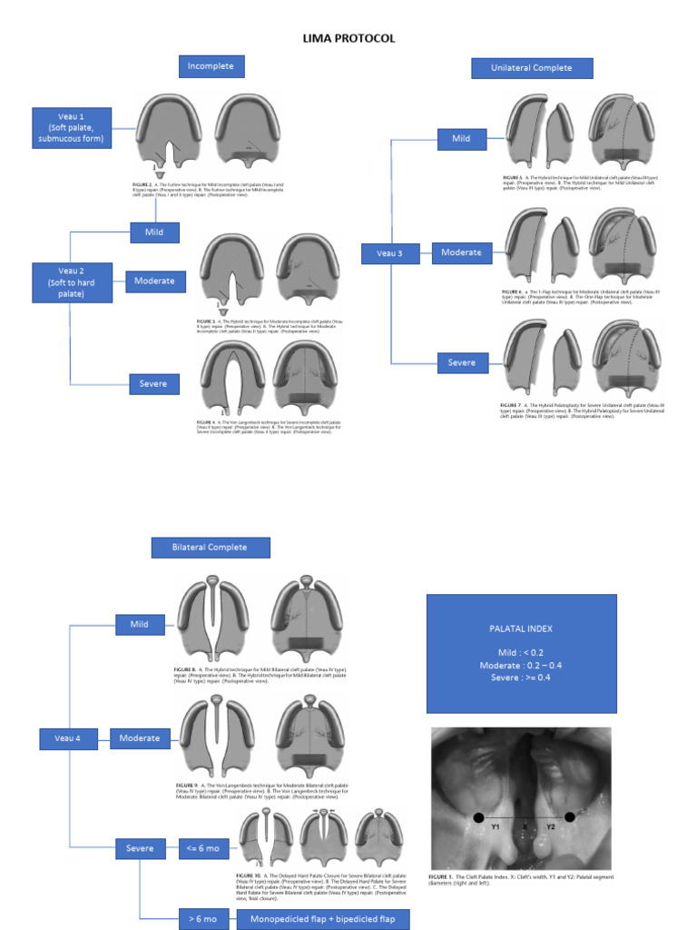Lima Protocol Algoritma | PDF