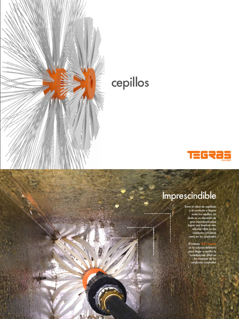 Catalogo Cepillos Tegras | PDF
