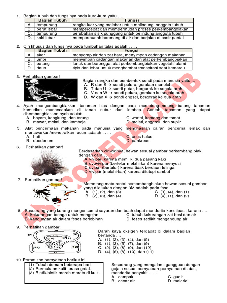 Chek Sains FDS 2 | PDF | Ilmu Sosial