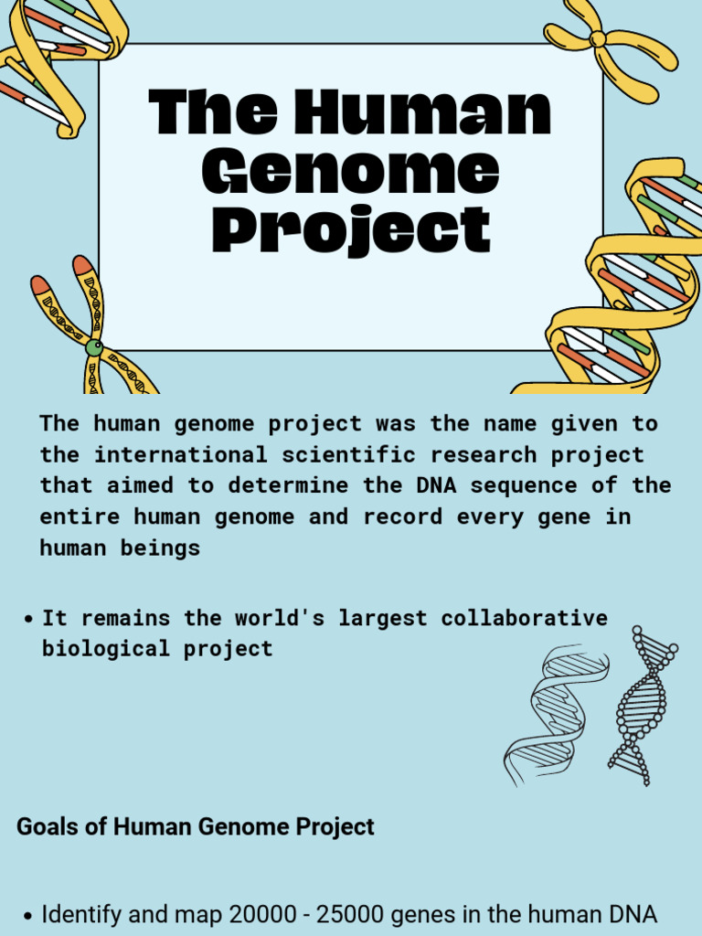 The Human Genome Project | PDF | Genetics | Genome