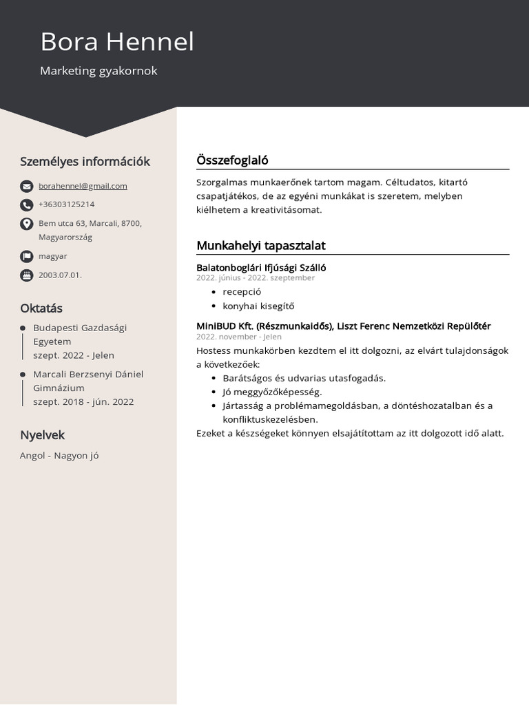 CV - Bora Hennel | PDF