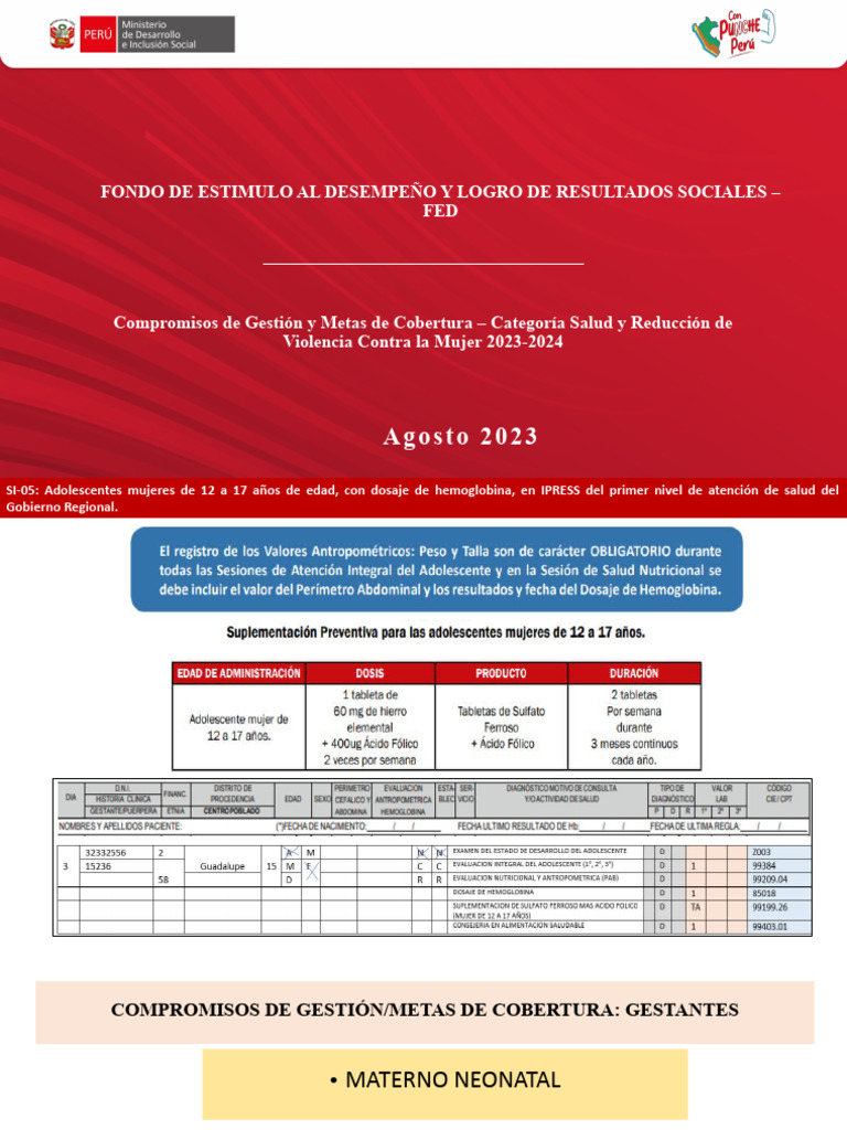 CDG-MC 2023-2024 - Fed Ii Nivel | PDF