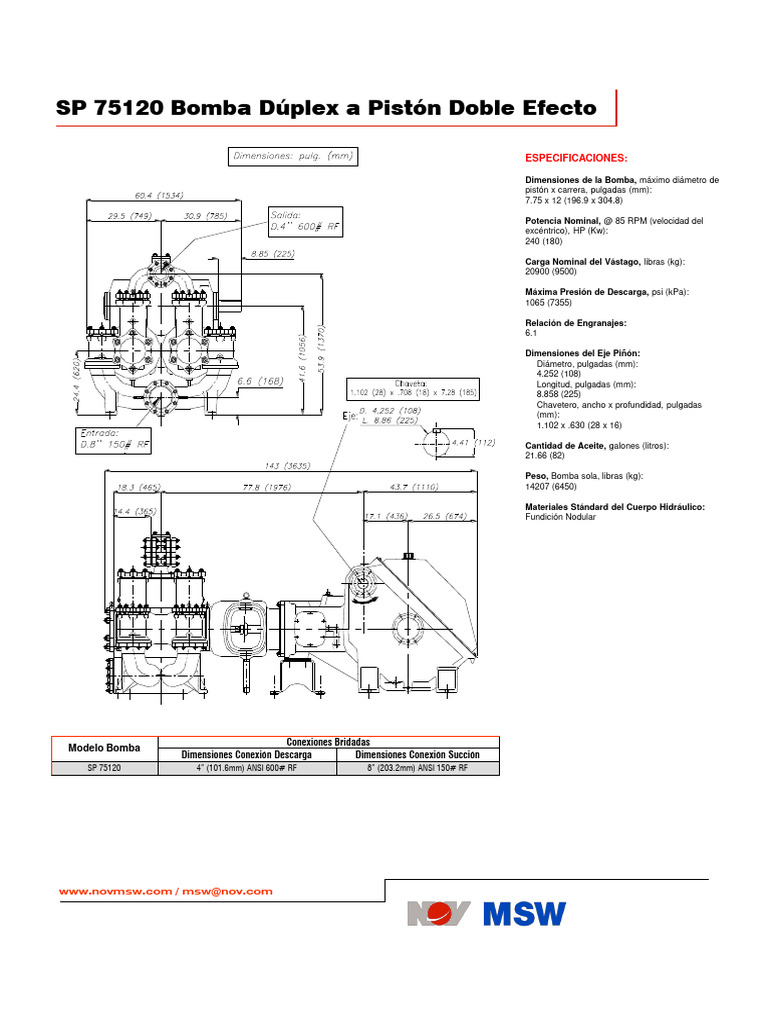Bomba Dúplex SP 75120 Especificaciones | PDF