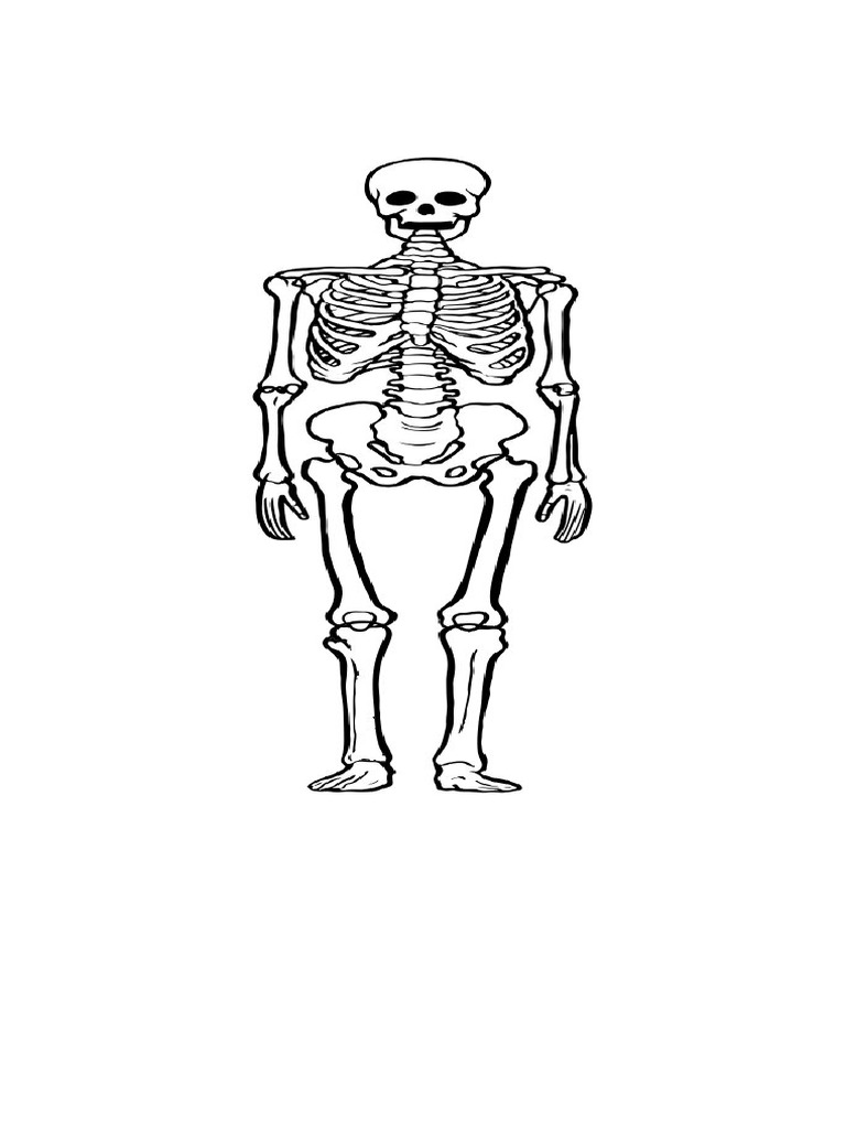 Free Printable Skeleton Template - 280782.jpg | PDF