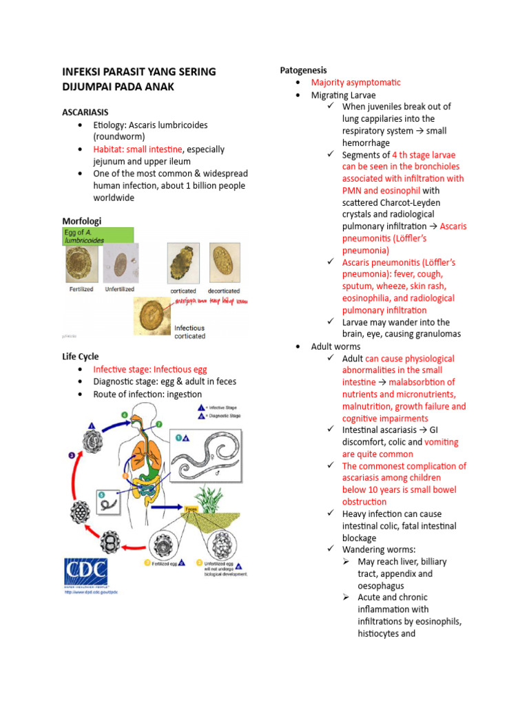 Infeksi Parasit Yang Sering Dijumpai Pada Anak | PDF