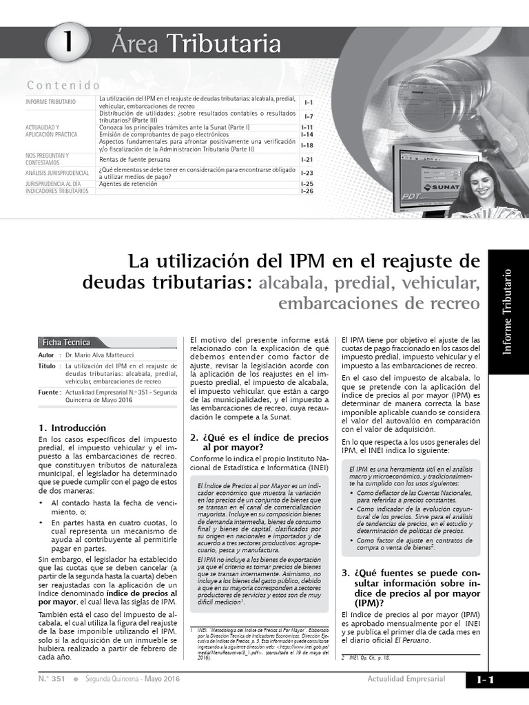 Calculo Del IPM | PDF