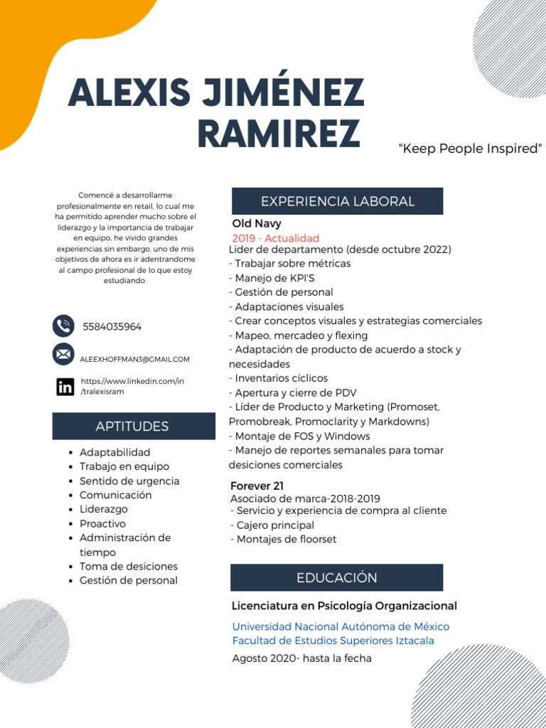 CV Alexis Ramírez | PDF