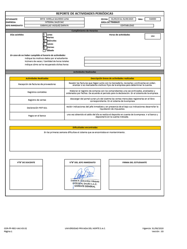 1.1 RAP - Reporte de Actividades Periódicas - Formato | PDF