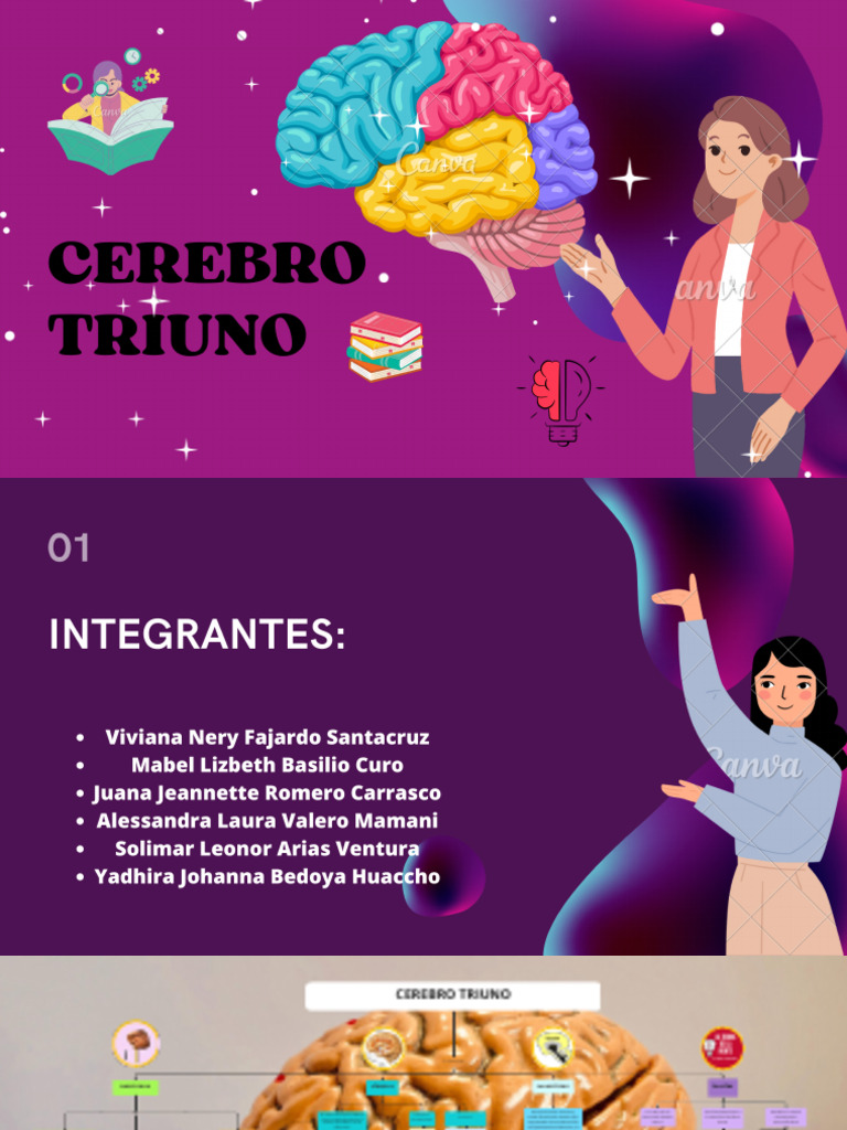 Mapa Conceptual - Cerebro Triuno | PDF