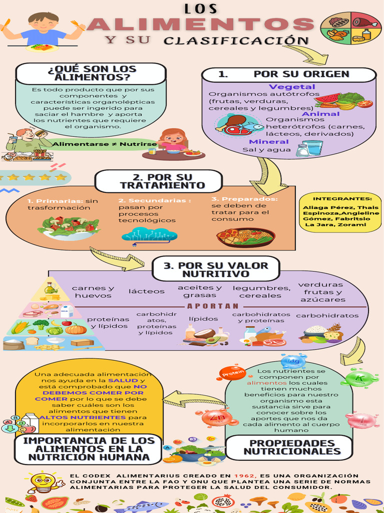 Infografía Los Alimentos y Su Clasificación - Semana 3 | PDF