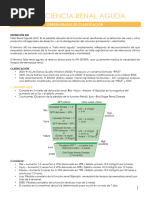 Clasificación RIFLE vs AKIN en IRA | PDF | Función renal | Creatinina