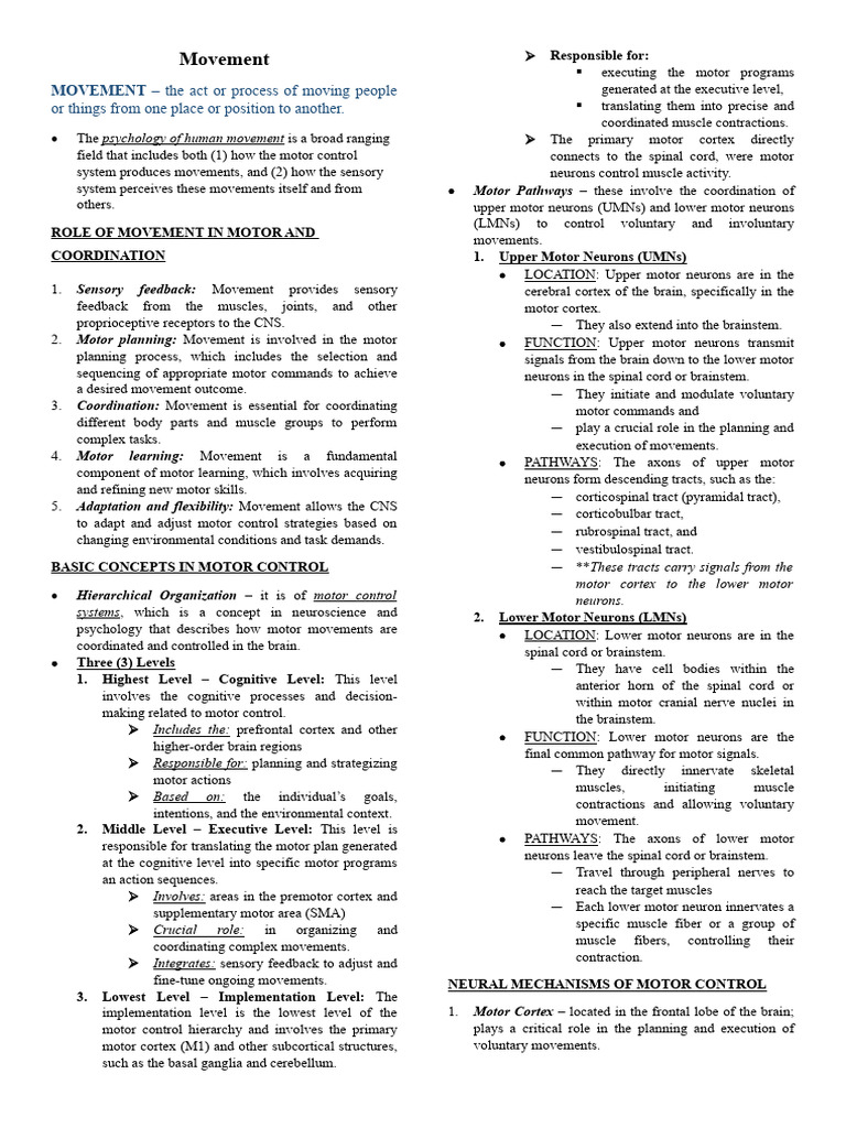 Summary Notes For Movement | PDF | Motor Neuron | Spinal Cord