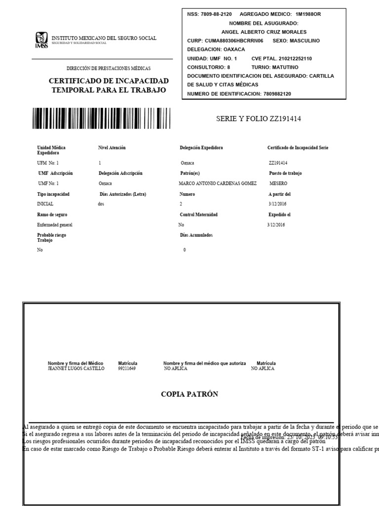 Formato Incapacidad Imss Editable Word | PDF