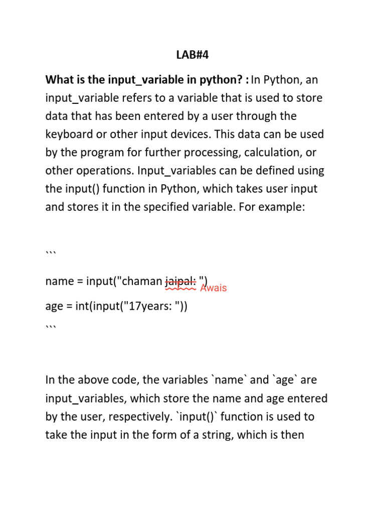 Python Input Variables Explained | PDF