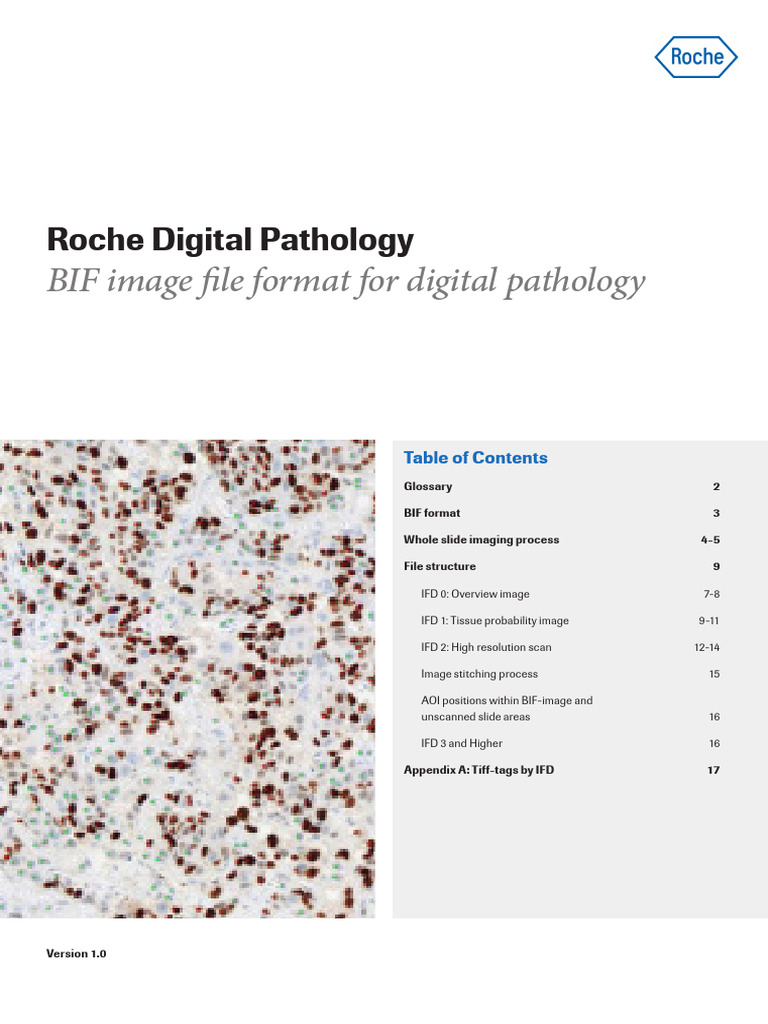 Roche Digital Pathology BIF Whitepaper | PDF