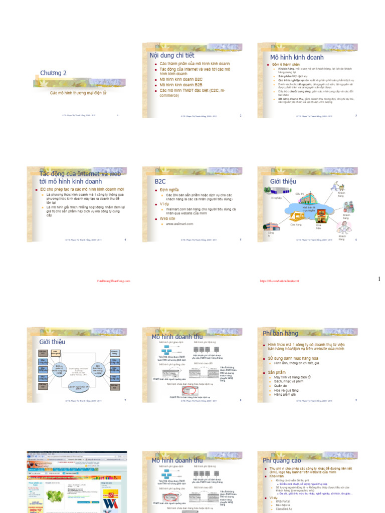 Thuong-Mai-Dien-Tu - Pham-Thi-Thanh-Hong - p02 - Model - (Cuuduongthancong - Com) | PDF