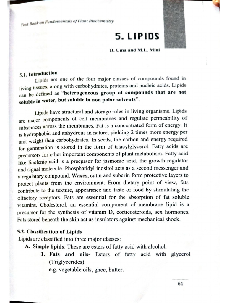 Lipid Classification | PDF